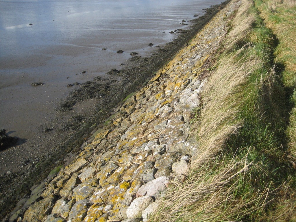 Bellurgan Flood Defence | MWP