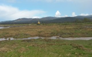 Appropriate Assessments | MWP Ireland